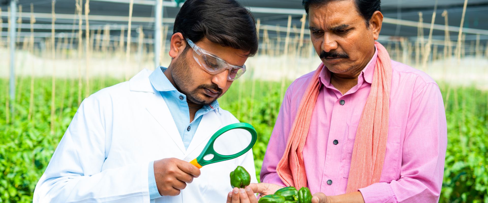 Agrotech & Smart Farming - Vistaar Agrotech