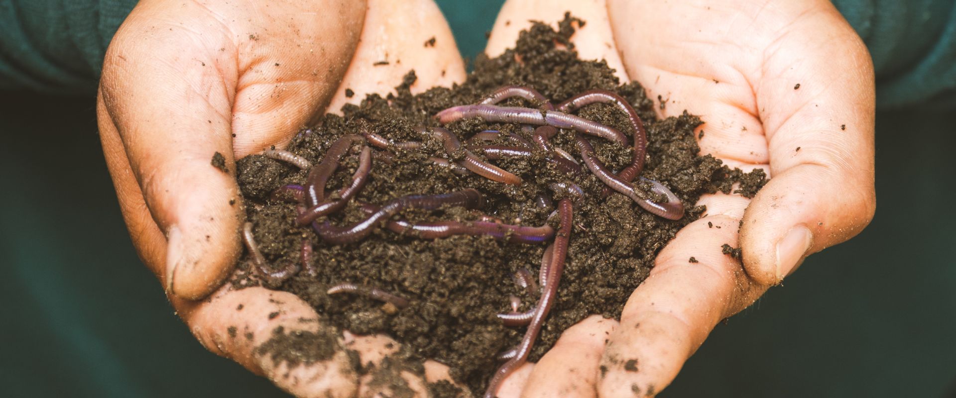 Bio Inputs & Soil Health - Vistaar Agrotech